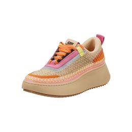 Sneaker Steve Madden "Steve Madden Sneaker Lederimitat", Damen, Gr. 38, beige (natur), Lederimitat, Schuhe Sneaker