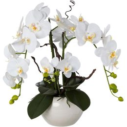 Creativ green Kunstorchidee »Phalaenopsis« im Keramiktopf weiß Obermaterial: 100% Kunststoff
