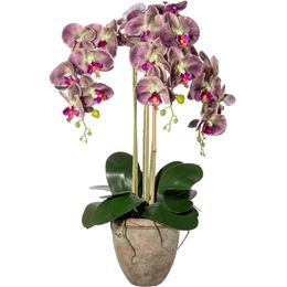 Creativ green Kunstorchidee »Orchidee Phalaenopsis« mit traumhaft schönen Blüten grünlila