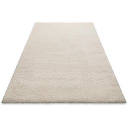 Wecon Home Hochflor-Teppich &raquo;STUDIO zero&laquo; rechteckig 35 mm H&ouml;he weicher und kuscheliger Flor, Wohnzimmer, Schlafzimmer, im Berber-Stil beige 