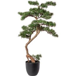 Creativ green Kunstbonsai »Bonsai Zeder« grün Obermaterial: 100% Kunststoff