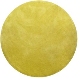 HOMIE LIVING Teppich &raquo;Pisa&laquo; rund 25 mm H&ouml;he Hochflor, Microfaser, uni, weich, Shaggy, Wohnzimmer, Schlafzimmer senfgelb Obermaterial: 100%...