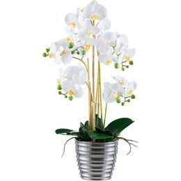 Creativ green Kunstorchidee &raquo;Orchidee Phalaenopsis&laquo; mit silberfarbenem Keramiktopf wei&szlig; Kunststoff