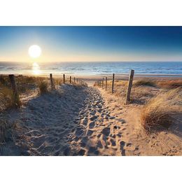 Reinders Deco-Panel &raquo;D&uuml;nenweg zum Meer&laquo; blau Hartfaserplatte, MDF
