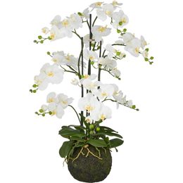 Creativ green Kunstorchidee &raquo;Orchidee Phalaenopsis&laquo; mit k&uuml;nstlichem Erdballen wei&szlig; Kunststoff