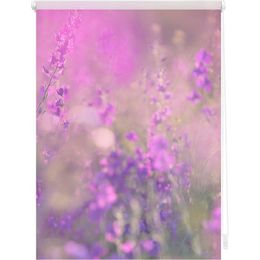 LICHTBLICK ORIGINAL Seitenzugrollo »Klemmfix Motiv Blumenwiese« Lichtschutz ohne Bohren freihängend bedruckt violett + weiß Obermaterial: 100%...