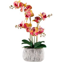 Creativ green Kunstorchidee &raquo;Orchidee Phalaenopsis&laquo; mit au&szlig;ergew&ouml;hnlicher Zementschale gelb Kunststoff