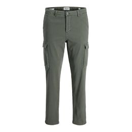 Jack & Jones Jack & Jones Cargo Pants 'JPSTAce Arthur' male Grey size 34