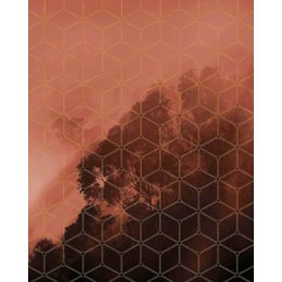 Vliestapete Komar "Digitaldruck Vlies - Golden Grid - Größe 200 x 250 cm", braun, B:200m L:250m, Vlies, Tapeten, Wohnzimmer, Schlafzimmer
