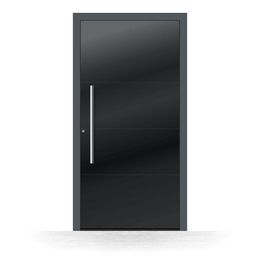 Haust&uuml;r Aluminium mit hochgl&auml;nzender Glas-Oberfl&auml;che, Anthrazit RAL 7016, 70x170 cm, Sch&uuml;co-Profil, Modell Ludwigsburg, individuell konfigurieren