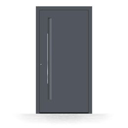 Haust&uuml;r Aluminium, Anthrazit RAL 7016, 70x205 cm, 3-fach Hakenverriegelung, Sch&uuml;co-Profil, Modell Bonn, individuell konfigurieren