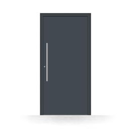 Haust&uuml;r 100x200 cm, Anthrazitgrau RAL 7016, Aluminium, DIN links nach innen &ouml;ffnend, Modell Berlin, individuell konfigurieren