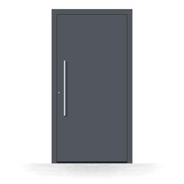 Haust&uuml;r nach au&szlig;en &ouml;ffnend, Aluminium, Anthrazitgrau RAL 7016, 700 x 1700 mm, individuell konfigurieren