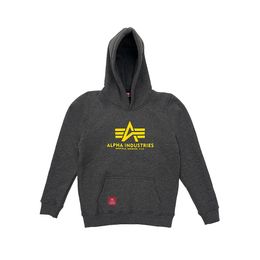 Alpha Industries Sweatshirt 'Basic' Jungen Größe 140 basaltgrau
