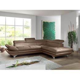 Ecksofa COTTA "Enterprise L-Form", braun (cappuccino), B:277cm H:91cm T:104cm, Softlux-Kunstleder;Luxus-Kunstleder, Sofas, Ecksofa, mit Arm- & Kopfteilverstellung, wahlweise mit Bettfunktion
