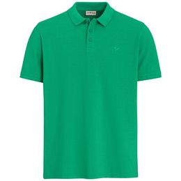 VanVaan Herren Poloshirt unifarben