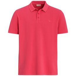 VanVaan Herren Poloshirt unifarben