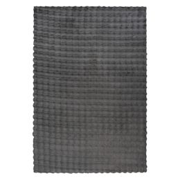 SONSTIGE Teppich HARMONY graphite