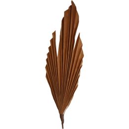 SONSTIGE Kunstzweig LEAF beige