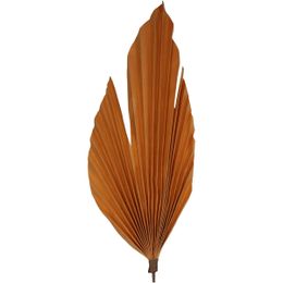 SONSTIGE Kunstzweig LEAF braun