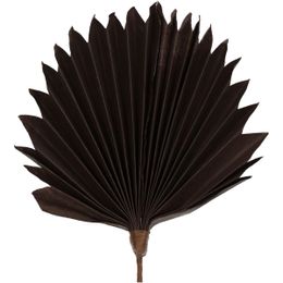 SONSTIGE Kunstzweig LEAF dunkelbraun