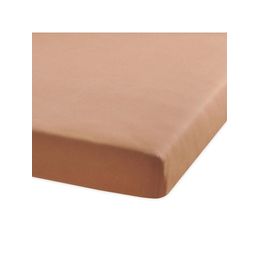 BettwarenShop Spannbettlaken Multi-Stretch in cappuccino | Gr.: 240 x 240 cm