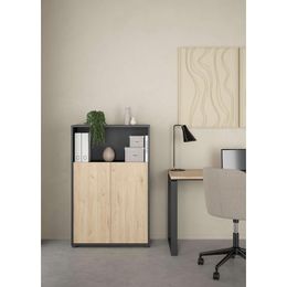 Inosign Kommode »Sign Sideboard mit Ablageregal für Akten, Bücher« mit 2 Türen, dahinter 2 Einlegeböden, Höhe 123 cm, Breite 80 cm Matt Grau /...