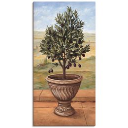 Wandbild Artland "Olivenbaum", grün (farbe bild(er): grün), B:30cm H:60cm, Bilder, als Alubild, Outdoorbild, Leinwandbild, Wandaufkleber, versch. Größen