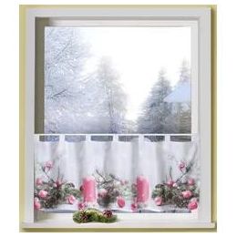 Weckbrodt-Gardinen Scheibengardine WECKBRODT "Rosa Kerzen" Gr. 1, bunt (multi), B:120cm H:45cm, Microfaser, Polyester, Gardinen, Bistro, Microsatin, Weihnachten, HxB 45x120cm, Gardine, Store
