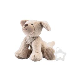 Sterntaler Spieluhr M HUND Lucky in natur | Gr.: onesize