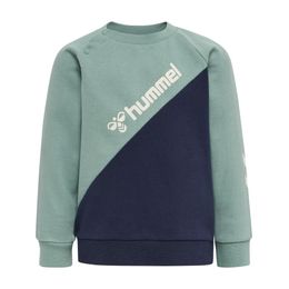 Hummel Sweatshirt Raglan&auml;rmel Hmlsportive Jungen in BLACK IRIS | Gr.: 62