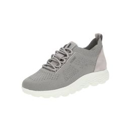 Geox Sneaker in Grau | Gr.: 36