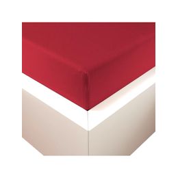 Traumschloss Premium Plus Edel-Jersey Spannbettlaken in rubin | Gr.: 180x200 cm - 200x220 cm
