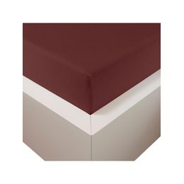 Traumschloss Premium Plus Edel-Jersey Spannbettlaken in bordeaux | Gr.: 180x200 cm - 200x220 cm