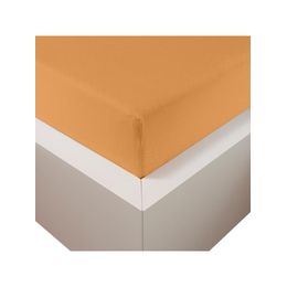 Traumschloss Premium Plus Edel-Jersey Spannbettlaken in mandarine | Gr.: 140-160 x 200-220 cm