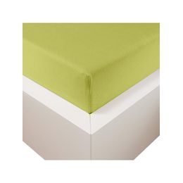 Traumschloss Premium Plus Edel-Jersey Spannbettlaken in moos | Gr.: 90x200 cm - 100x220 cm