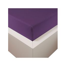 Traumschloss Premium Plus Edel-Jersey Spannbettlaken in violett | Gr.: 180x200 cm - 200x220 cm