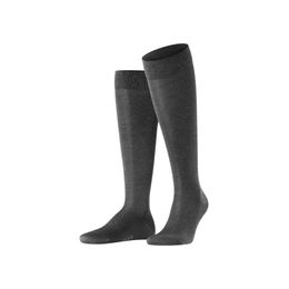 Falke Socken 1er Pack in Anthrazit | Gr.: 45/46