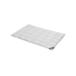 Spessarttraum Ganzjahres-Daunendecke "Silber" in wei&szlig; | Gr.: 155x220 cm