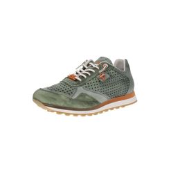 CETTI Sneaker low C-848 EXP V25 in Gr&uuml;n | Gr.: 45