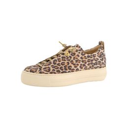 Paul Green Sneaker in Leopard | Gr.: 37