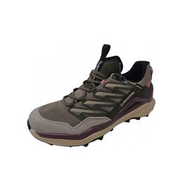 Lowa Wanderschuh Maddox Pro GTX LO in Beige | Gr.: 38