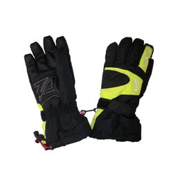 Zanier Lofer ZX Ski Handschuhe Wasser & Winddicht in Lime | Gr.: S