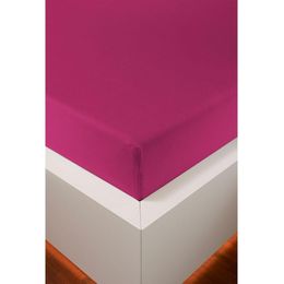 bellana jersey Spannbetttuch Edel-Jersey Elasthan in fuchsia | Gr.: 100 x 200