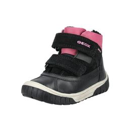 Geox Stiefelette in Schwarz/Pink | Gr.: 27
