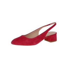 Peter Kaiser Pumps in Pink | Gr.: 37