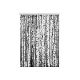 LICHTBLICK Seitenzugrollo in Schwarz-Wei&szlig; | Gr.: 70 x 150 cm