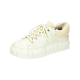 Piazza Sneakers Low in crema | Gr.: 39