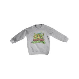 Teenage Mutant Ninja Turtles Kinder Sweatshirt in Grau | Gr.: 4