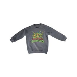Teenage Mutant Ninja Turtles Kinder Sweatshirt in Grau | Gr.: 4
